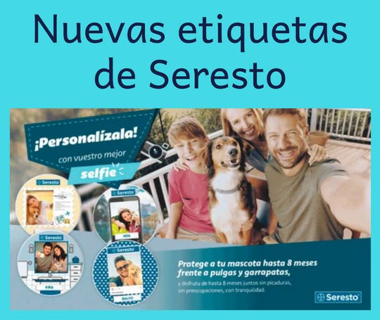 4 nuevos diseños para pedir gratis tu etiqueta personalizada de Seresto ...